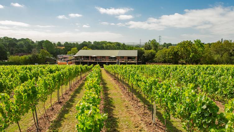 Bolney Wine Estate Ltd | Venue Report