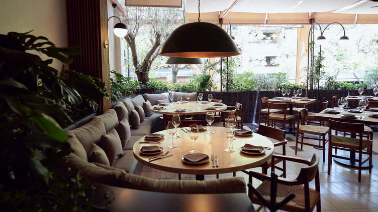 Pamplo del Mediterraneo | Jalisco, Mexico - Venue Report