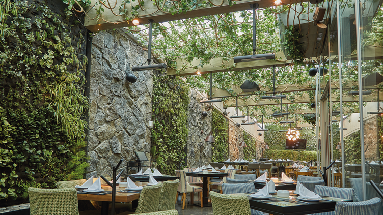 Mochomos - Palmas | Ciudad de México, Ciudad de México, Mexico - Venue Report