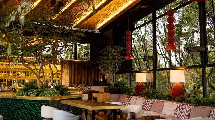 Terraza Panthera in Ciudad de México, CDMX - Trip Canvas