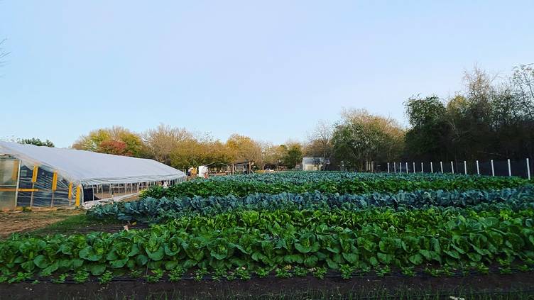 Store House Market and Eatery | Texas, United States - Venue Report