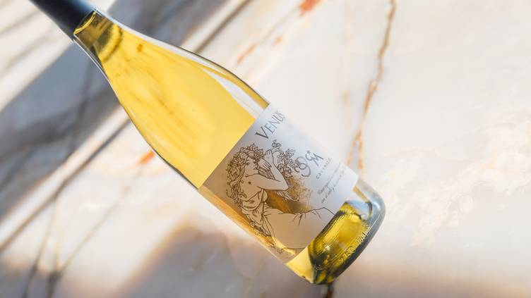 Cava Maciel Vinícola | Ensenada, BC, Mexico - Venue Report