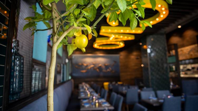 Limoncello - Locust Point | Baltimore, Maryland, United States - Venue ...