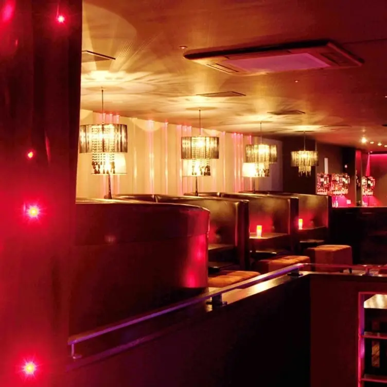 The Albyn - Updated 2024, British Restaurant in Aberdeen