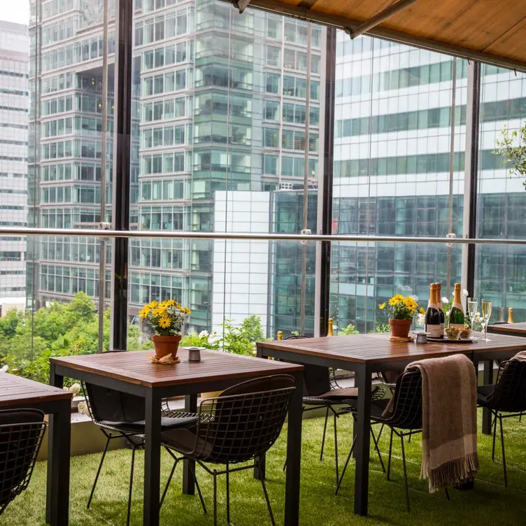 Plateau Bar & Grill Restaurant - London | OpenTable