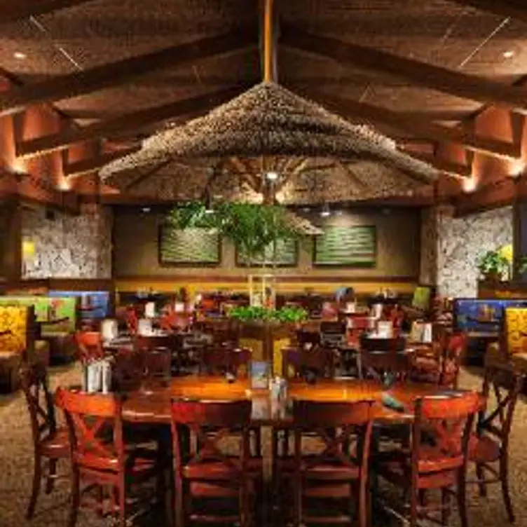 Bahama Breeze - Brandon - Brandon Mall Restaurant - Brandon, FL | OpenTable
