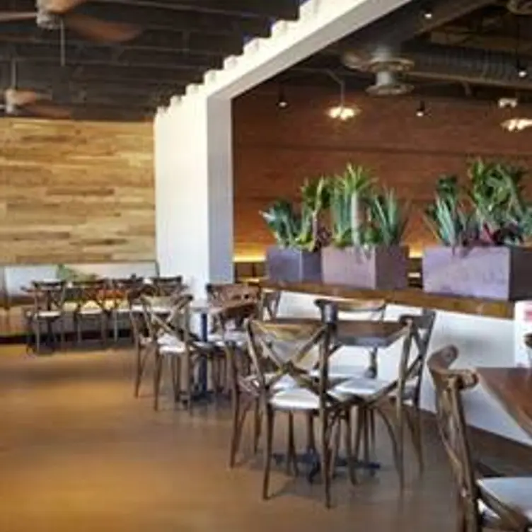 Meso Maya - Preston Forest Restaurant - Dallas, TX | OpenTable