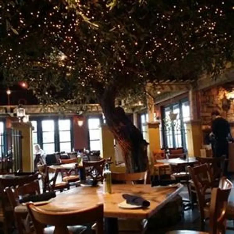 Bella Notte Restaurant - Lexington, KY | OpenTable