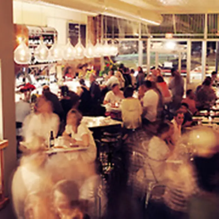 Mateo Bar de Tapas Restaurant - Durham, , NC | OpenTable