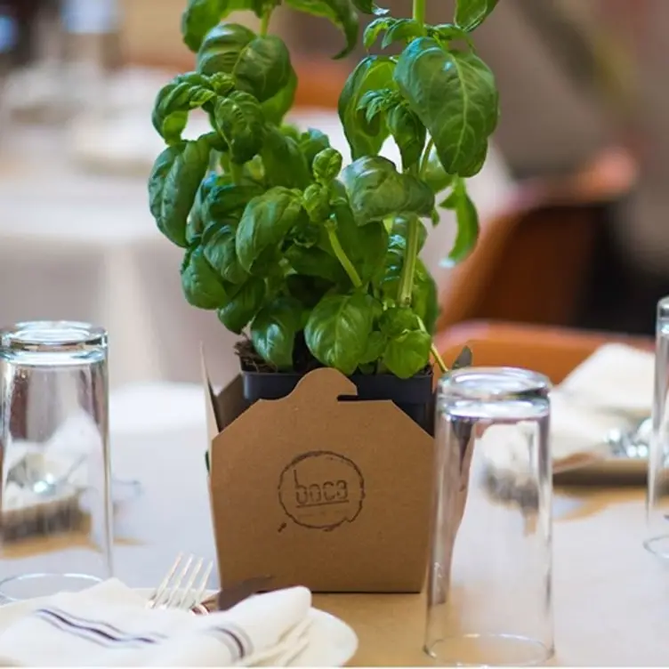 Boca - Sarasota Restaurant - Sarasota, FL | OpenTable