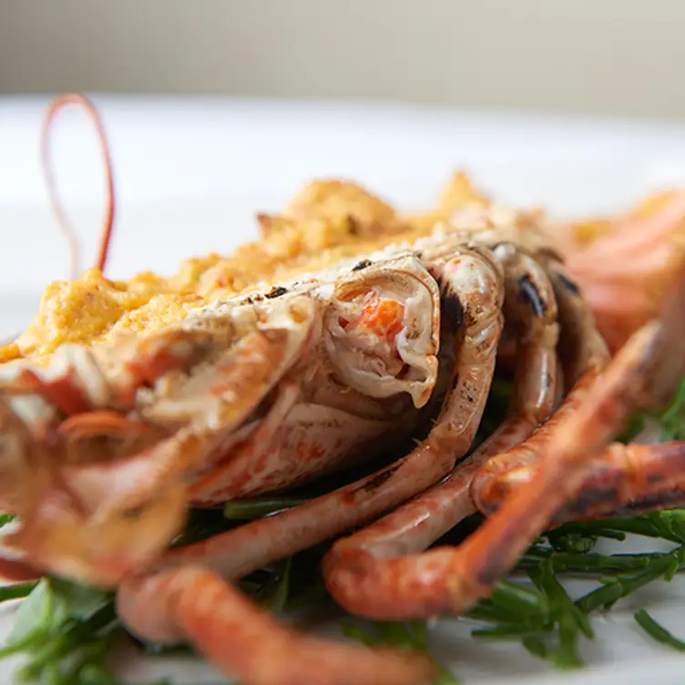 Pescatori Italian & Seafood Restaurant - Fitzrovia - London | OpenTable