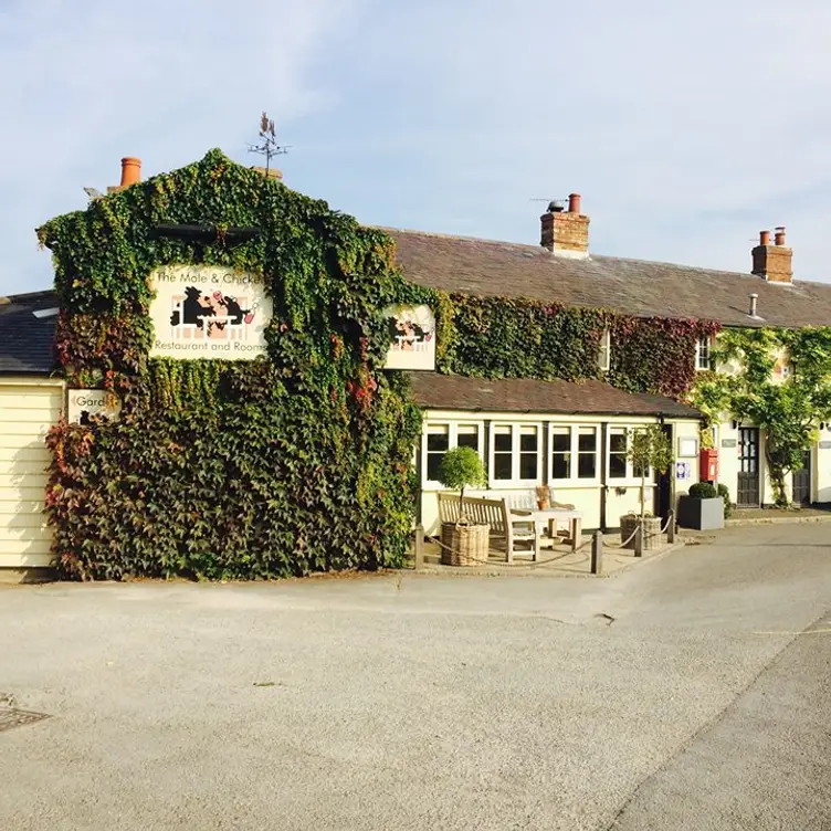 The Mole & Chicken Restaurant - Aylesbury, Buckinghamshire | OpenTable