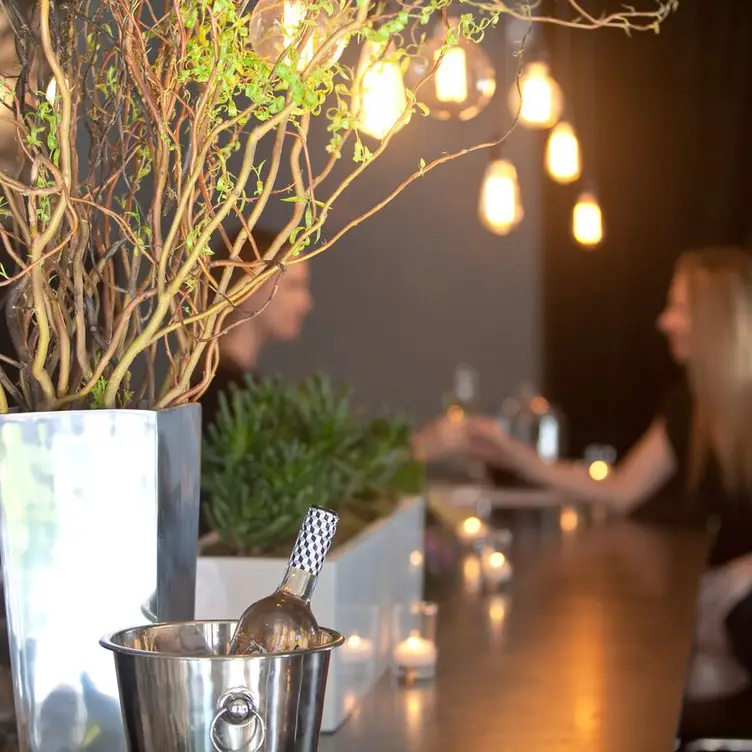 Restaurante Local & Vine - New York, , NY | OpenTable