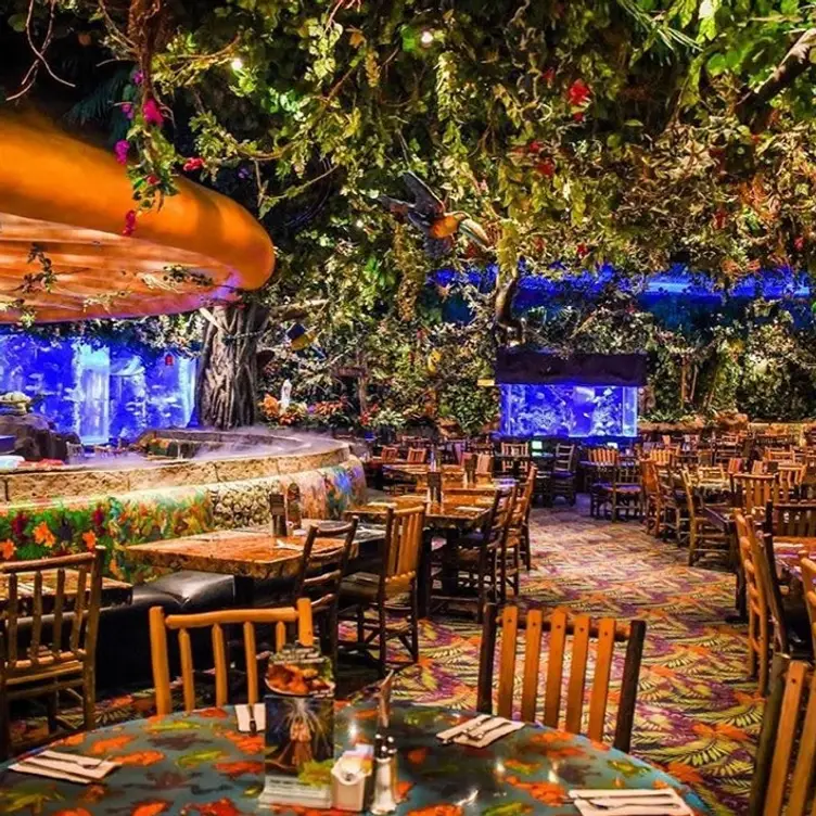 Rainforest Cafe - Chicago Woodfield - Updated 2025, American Restaurant in Schaumburg, IL