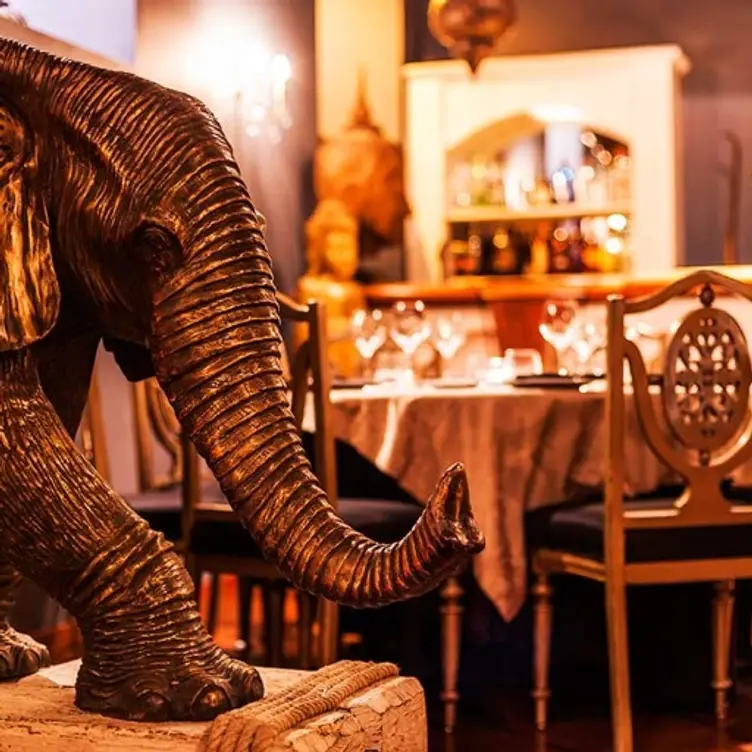 Restaurante Elephant Restaurant and Lounge - Barcelona, , Cataluna ...