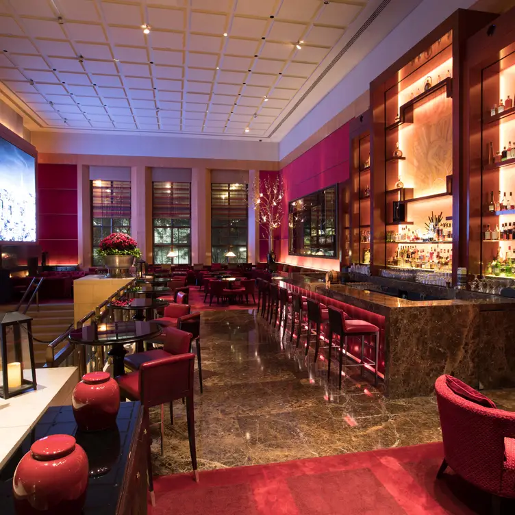 Ty Bar - Four Seasons New York Restaurant - New York, NY | OpenTable