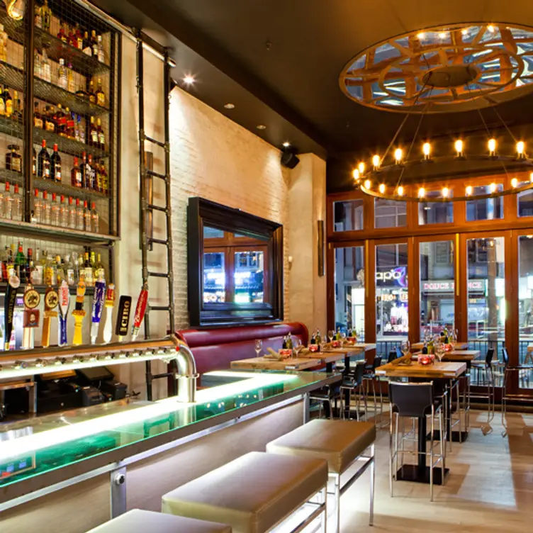 Cibo Wine Bar Yonge Street Restaurant - Toronto, , ON | OpenTable