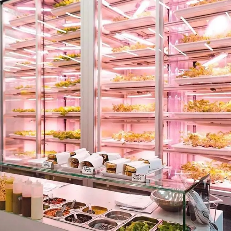 GOOD BANK 2024 Aktualisiert Europ isches Restaurant In Berlin BE GOOD BANK 2024 Aktualisiert Europ isches Restaurant In Berlin BE