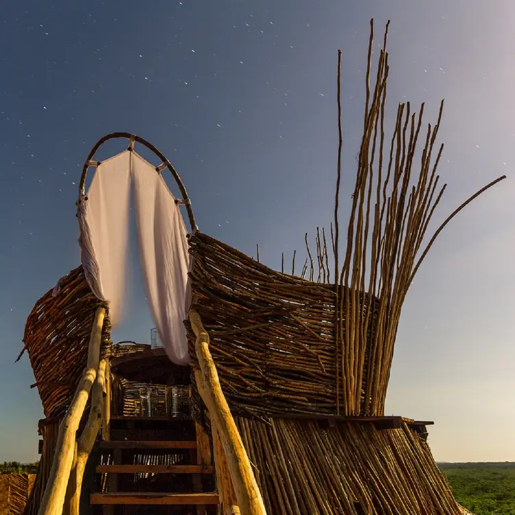 Kin Toh by AZULIK Restaurant - Tulum, ROO | OpenTable