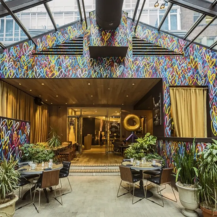 NOMO Kitchen - Top Rated Restaurant in New York, NY | OpenTable