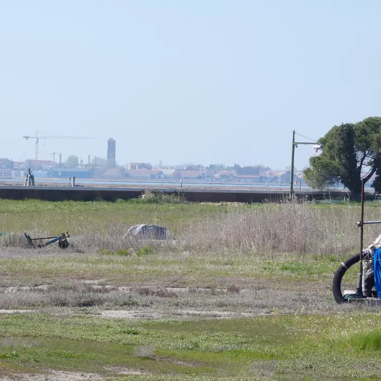 Restaurant Red Rose Of Chessington - London, | OpenTable