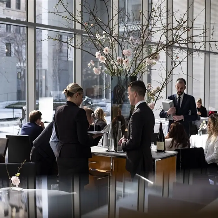 The Modern - Updated 2025, Contemporary American Restaurant in New York, NY
