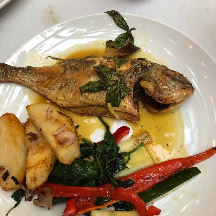 Acqua Santa Restaurant - Brooklyn, NY | OpenTable