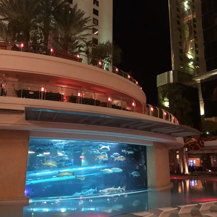 Grotto Las Vegas - Top Rated Restaurant in Las Vegas, NV | OpenTable