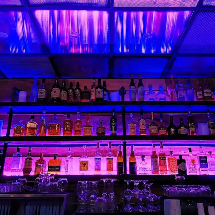 The Standard-Parkdale - Updated 2024, Garito in Toronto, ON