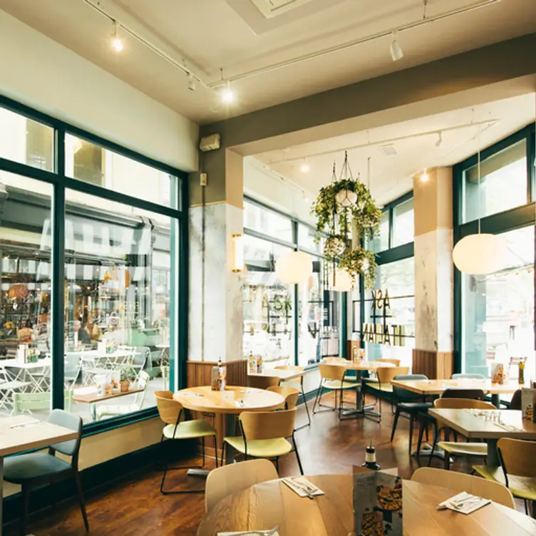 ASK Italian Cardiff - Updated 2025, Italian Restaurant in Cardiff ...