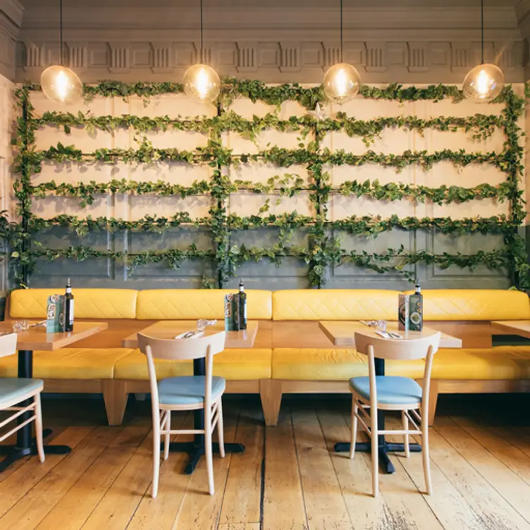 ASK Italian Exeter - Updated 2025, Italian Restaurant in Exeter, Devon