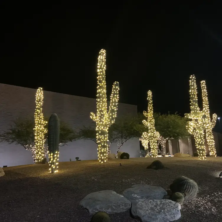 Agave Restaurant at Desert Diamond Casino - Mis à jour en 2024 ...