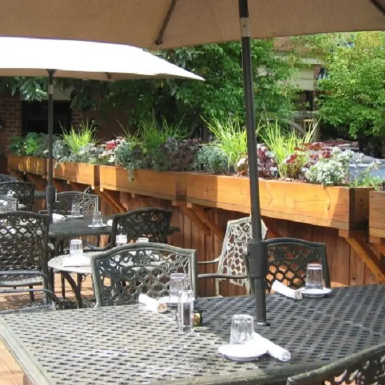 Shebeen Pub and Braai Restaurant - Charlottesville, VA | OpenTable