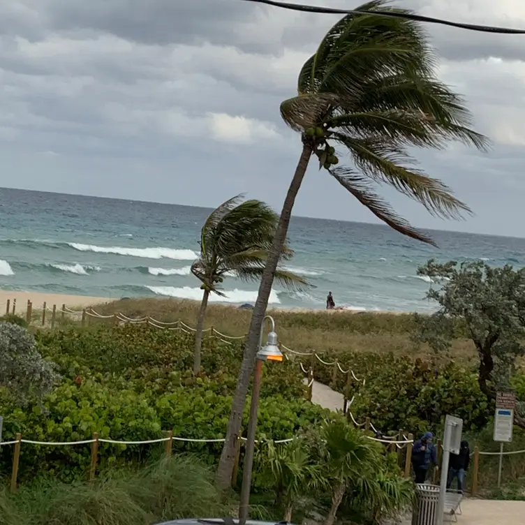 Restaurante 50 Ocean at Boston's On The Beach - Delray Beach, , FL ...
