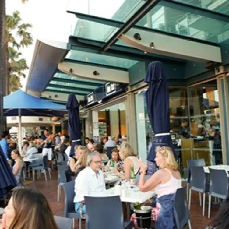 Restaurante Blue Fish - Sydney, , NSW | OpenTable