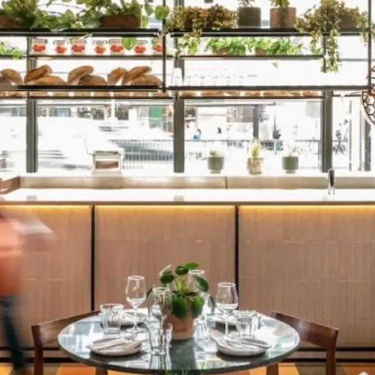 Terra Terra - Actualizado en 2025, restaurante italianos en London, ENG