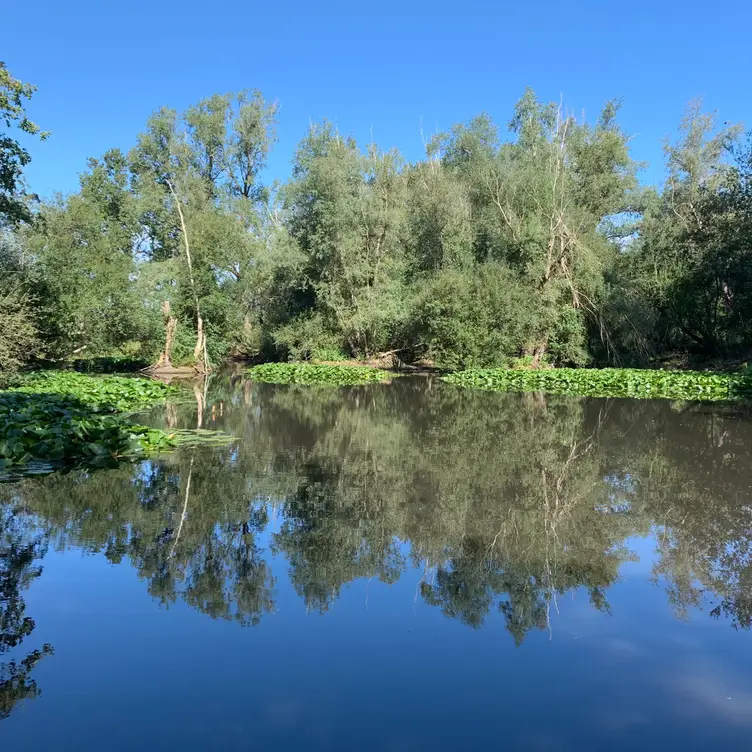 THOMPSON St Albans Restaurant - St. Albans, Hertfordshire | OpenTable