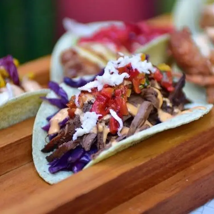 El Topo Mexican Restaurant - Updated 2023 | Book your table now