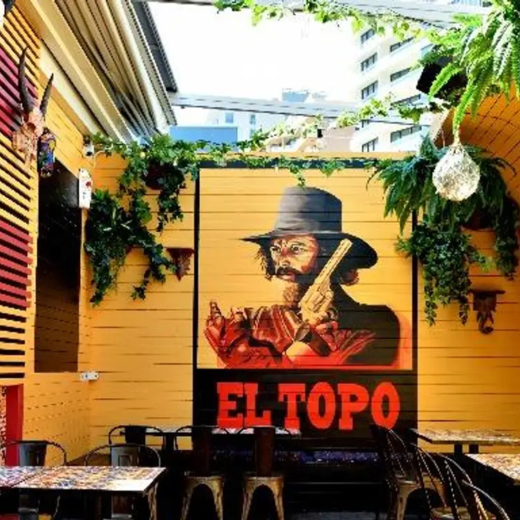 El Topo Mexican Restaurant - Updated 2023 | Book your table now