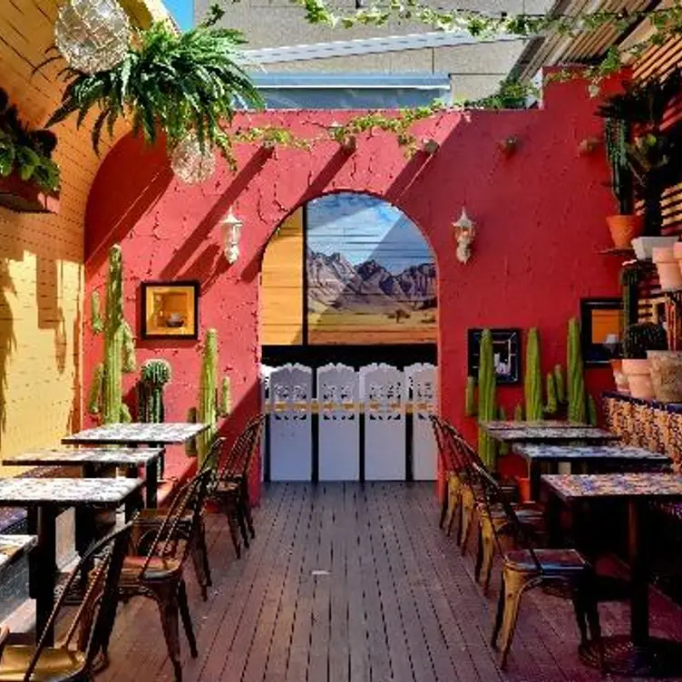 El Topo Mexican Restaurant - Sydney, NSW | Book on OpenTable