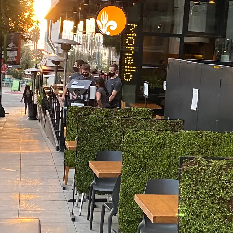 Monello Restaurant - San Diego, CA | OpenTable