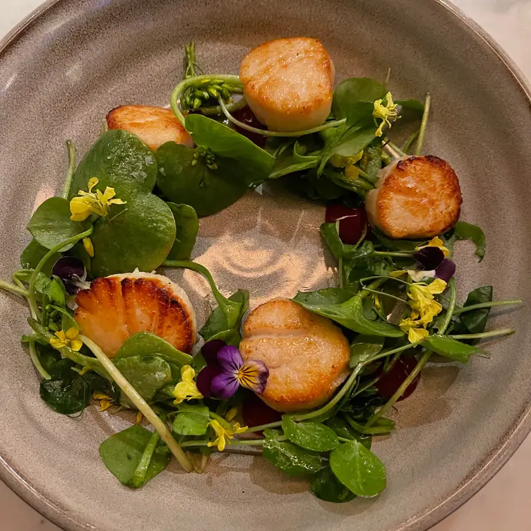 Restaurante Union - Portland, , ME | OpenTable