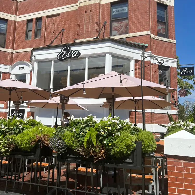 Restaurante Eva - Boston, , MA | OpenTable