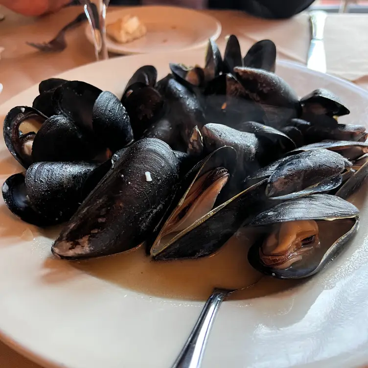 Cucina Carini Restaurant - Mount Laurel, , NJ | OpenTable