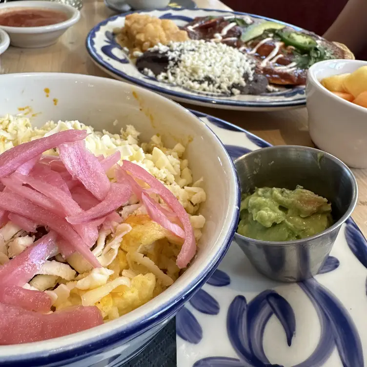 Ambriza Social Mexican Kitchen -Cinco Ranch Restaurant - Katy, TX ...