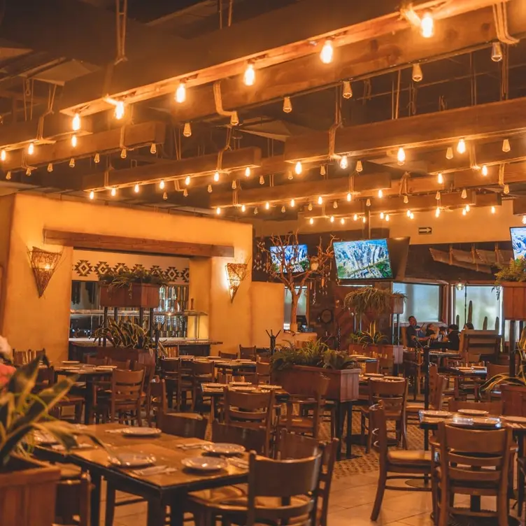 Tierra Santa Piedras Negras - Updated 2025, International Restaurant in ...