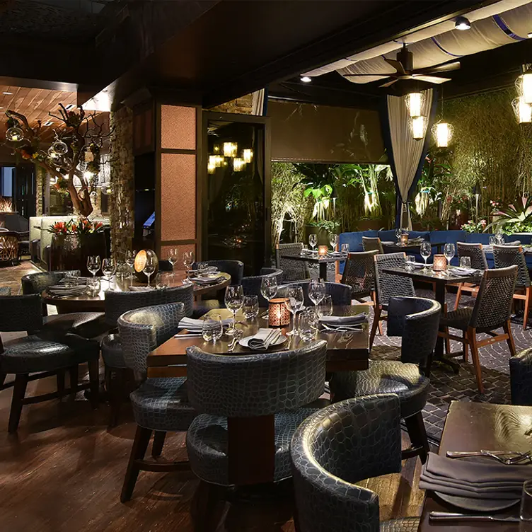 Restaurant Tanzy - Boca Raton - Boca Raton, FL | Réservez sur OpenTable