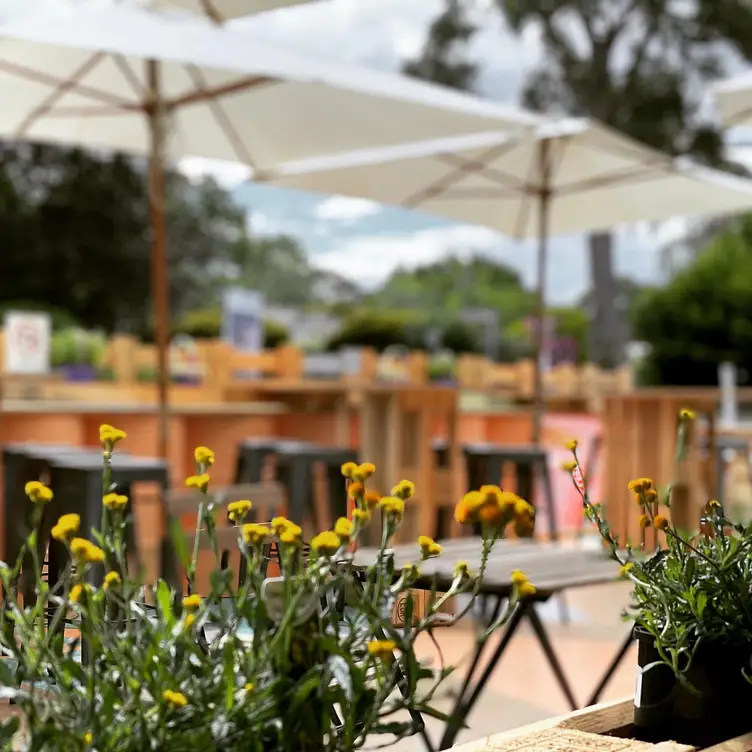 The Fat Goat Restaurant - Upwey, AU-VIC | OpenTable