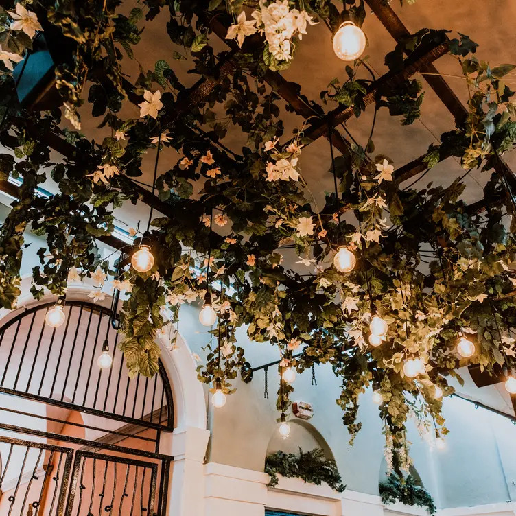 Restaurante Tingle Bar Glasgow - Glasgow, , Glasgow City | OpenTable