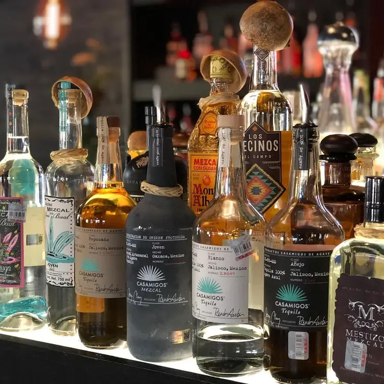 Studewood Cantina Restaurant - Houston, TX | OpenTable